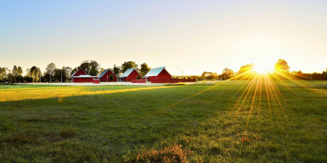 Farm to School | Georgia Department of Agriculture